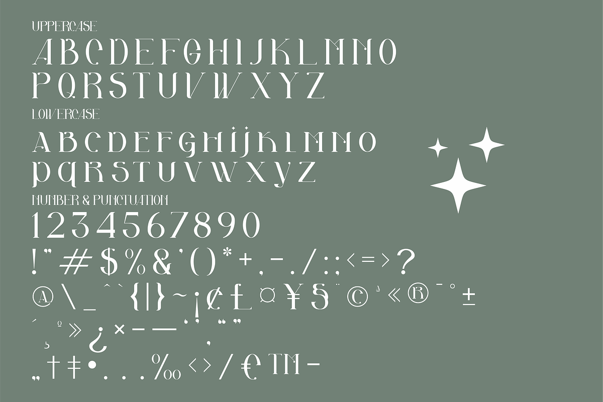 Akila Modern Display Font, a Serif Font by Storytype Studio