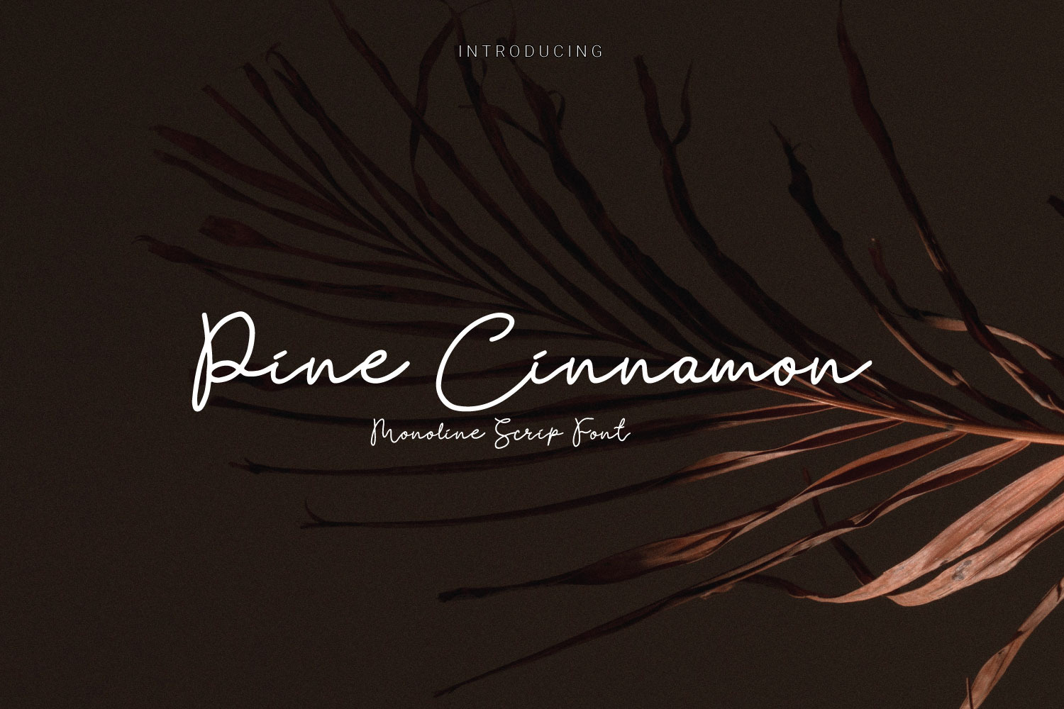 Pine Cinnamon | Script Fonts ~ Creative Market