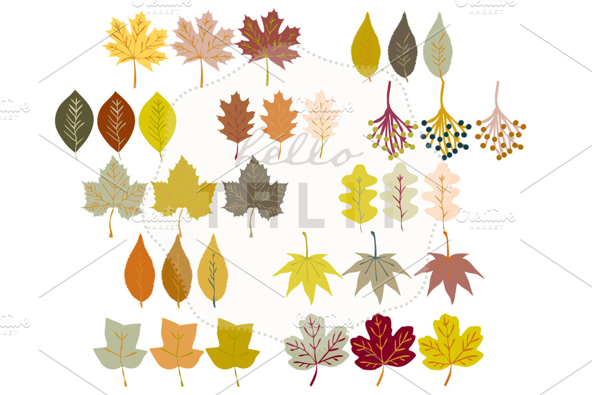 Fall Leaves Clip Art, an Illustration by Hello Talii