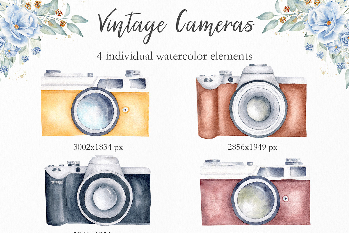 Watercolor Vintage Cameras Set, a Decorative Illustration by ...