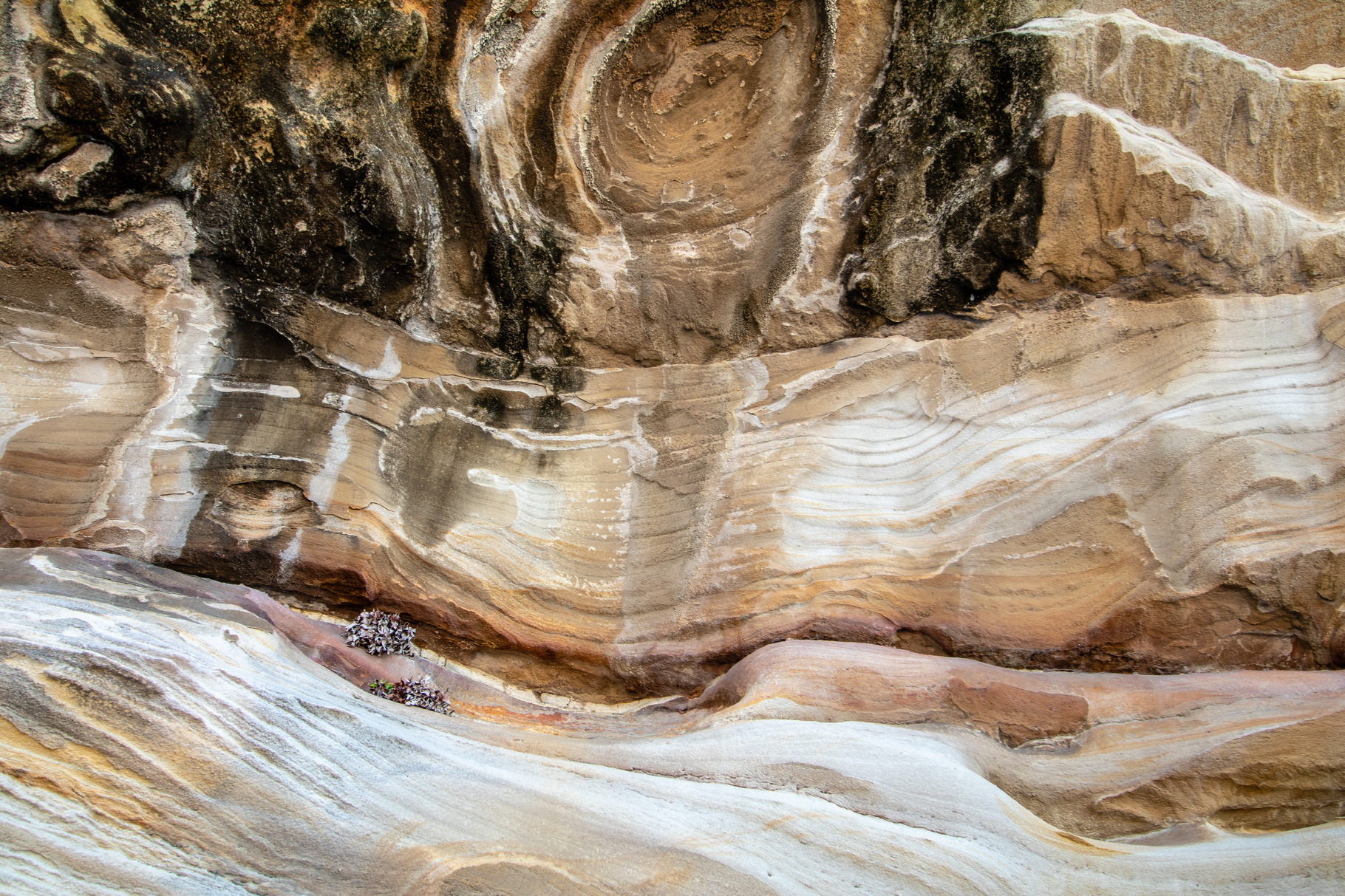 Sandstone Texture Background, a Background Photo by 1x1 Pixel Corp ...