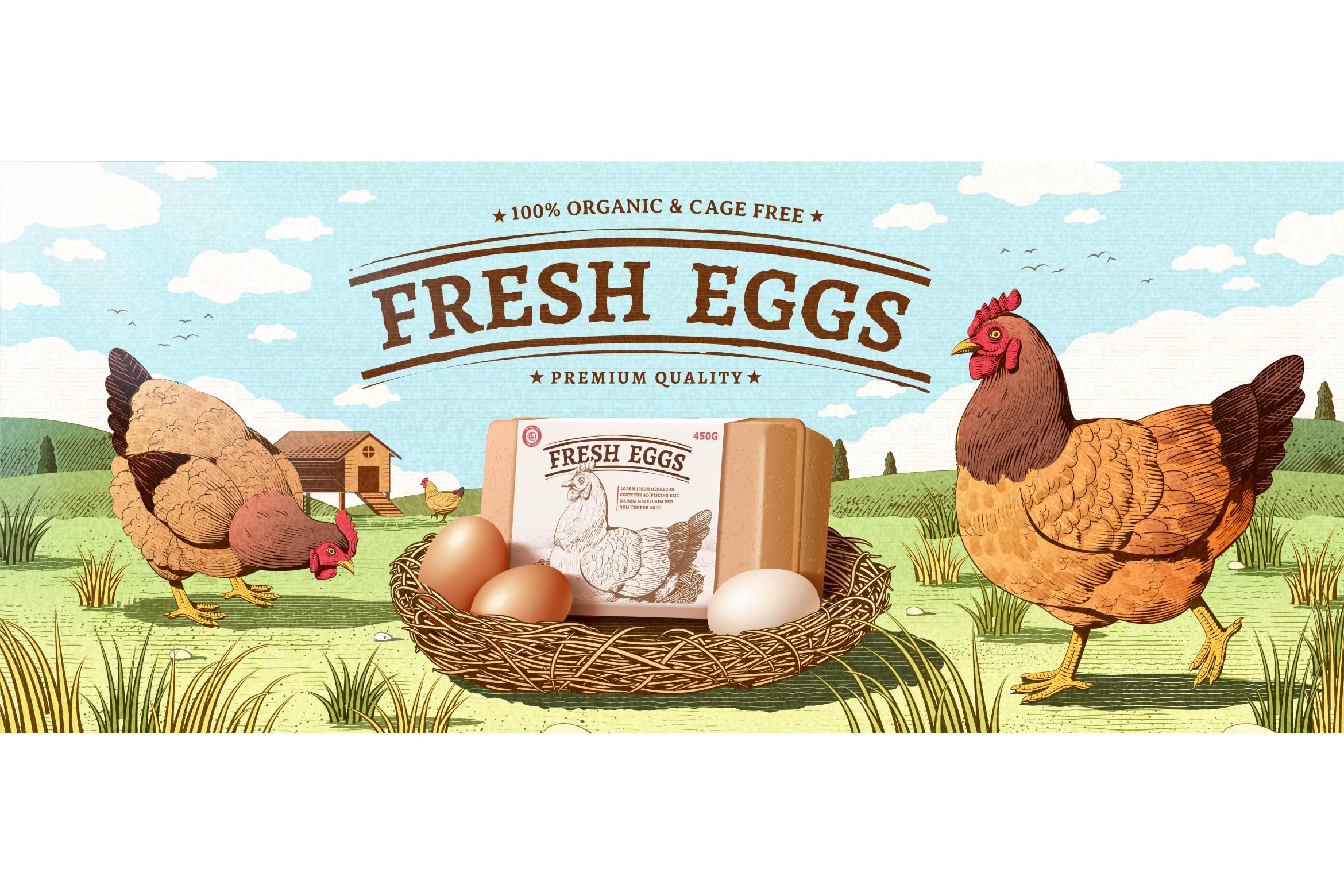 Engraving farm egg ad background, a Flyer Template by TotallypicRF