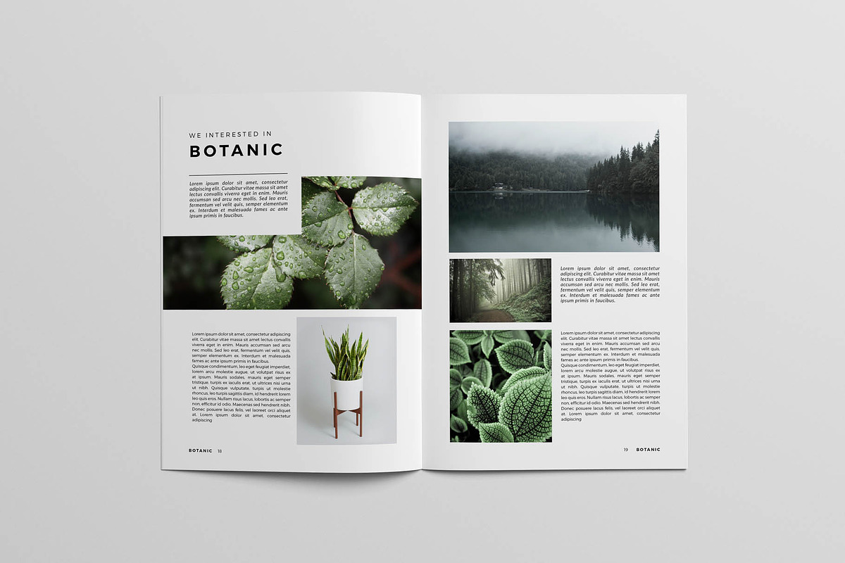 Botanic Magazine, a Magazine Template by New Lines