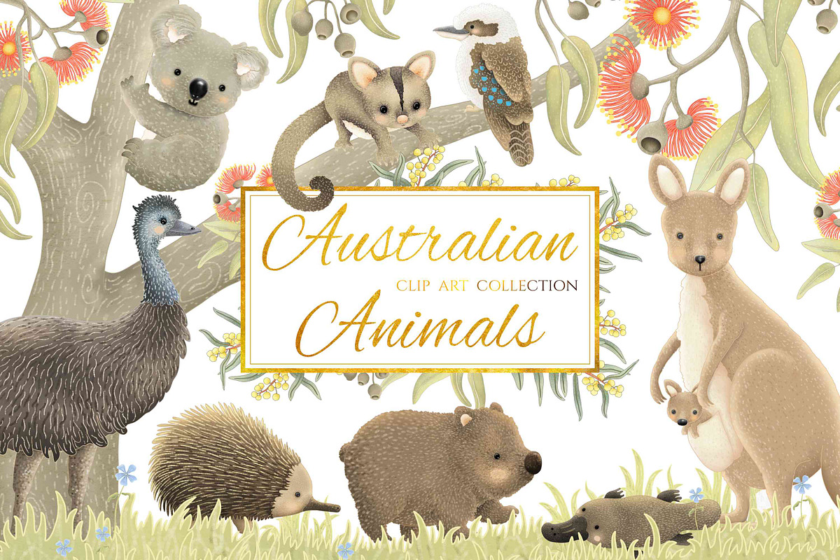 Australian Animals Collection, an Animal Illustration by Jen Digital Art