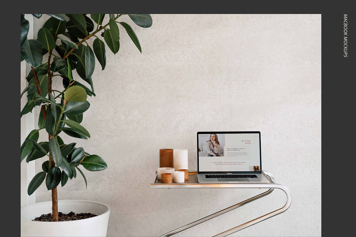 MOCKUP COLLECTION: VALEN