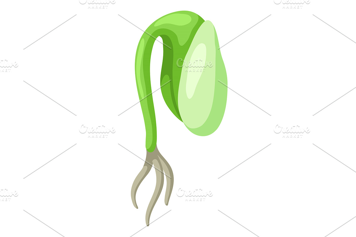 Young green sprout with roots, a Work Illustration by incomible ...