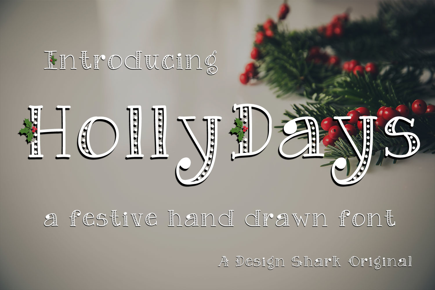HollyDays, a Font by crystal.baier
