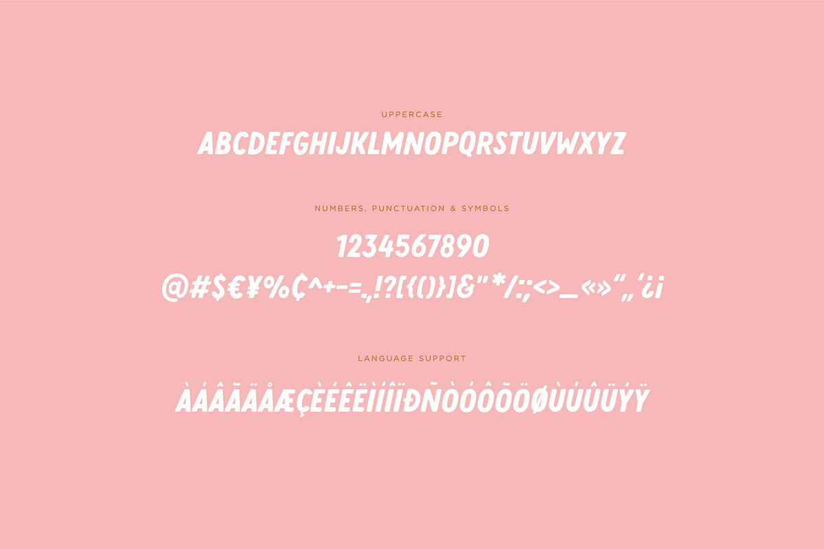 Motel California | Font duo, a Script Font by AngelinaKovel