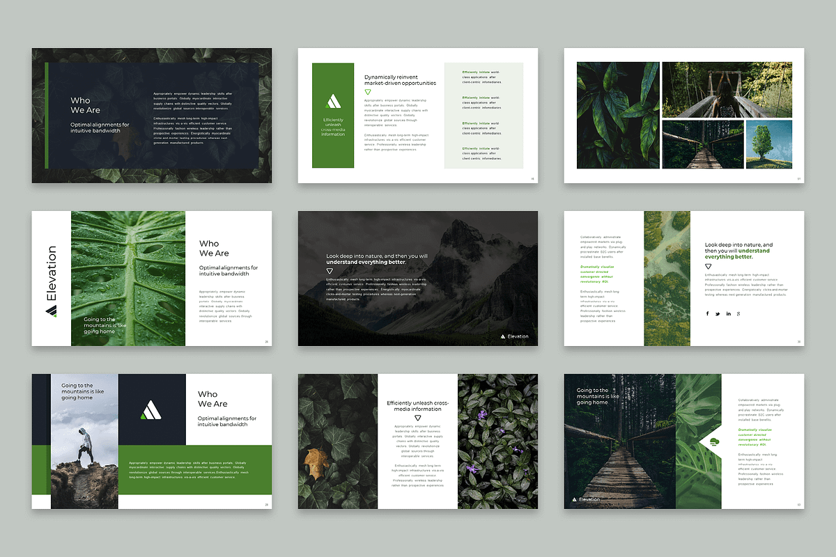 Elevation Powerpoint template & Slide