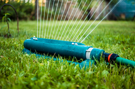 close up automatic system of water splinker pouring green lawn in the ...