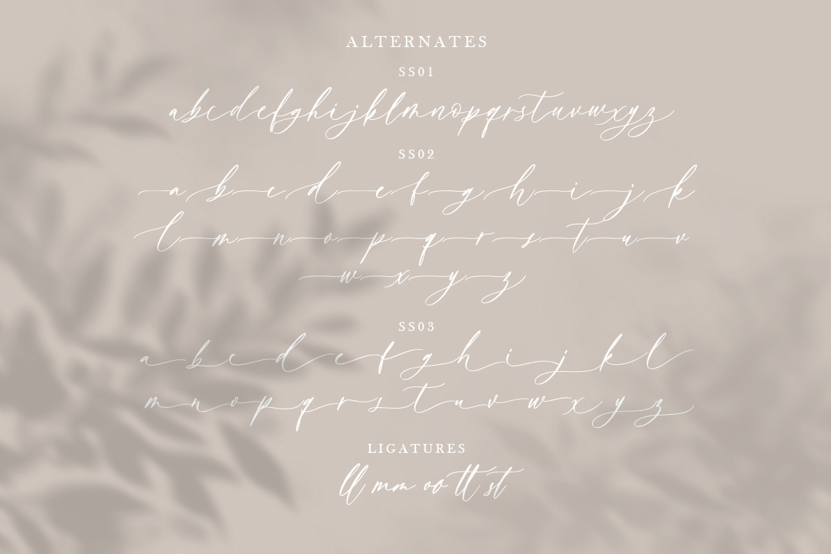 Bitter Love - Modern Calligraphy, a Script Font by Bale Type
