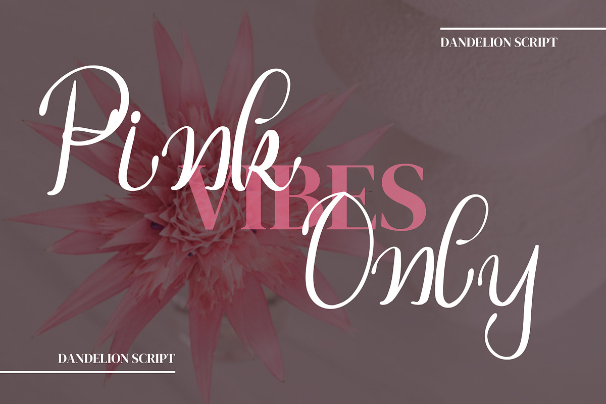 Dandelion Script Fonts, a Script Font by mahstudios | Creative Market