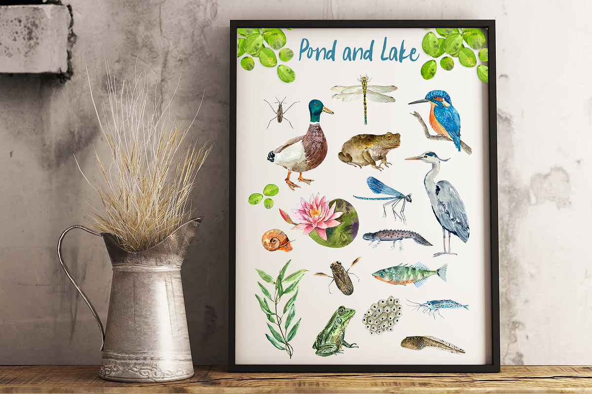 Pond and Lake Clip Arts and Posters, an Education Illustration by Tati ...
