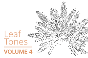 Leaf Tones Vol. 4 | Stippled Flora, a Seasonal Illustration by ...