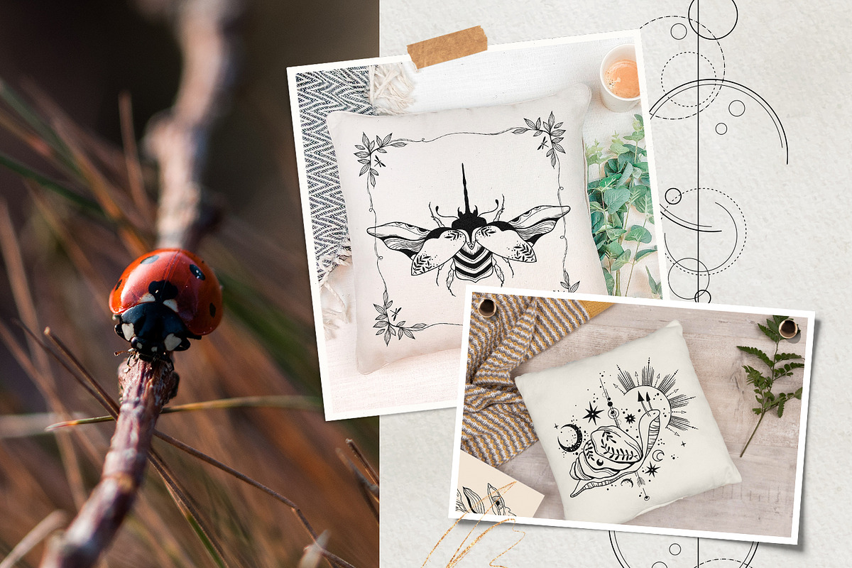 Mystic Insects vector graphic kit, a Decorative Illustration by My Space Garden | Creative Market