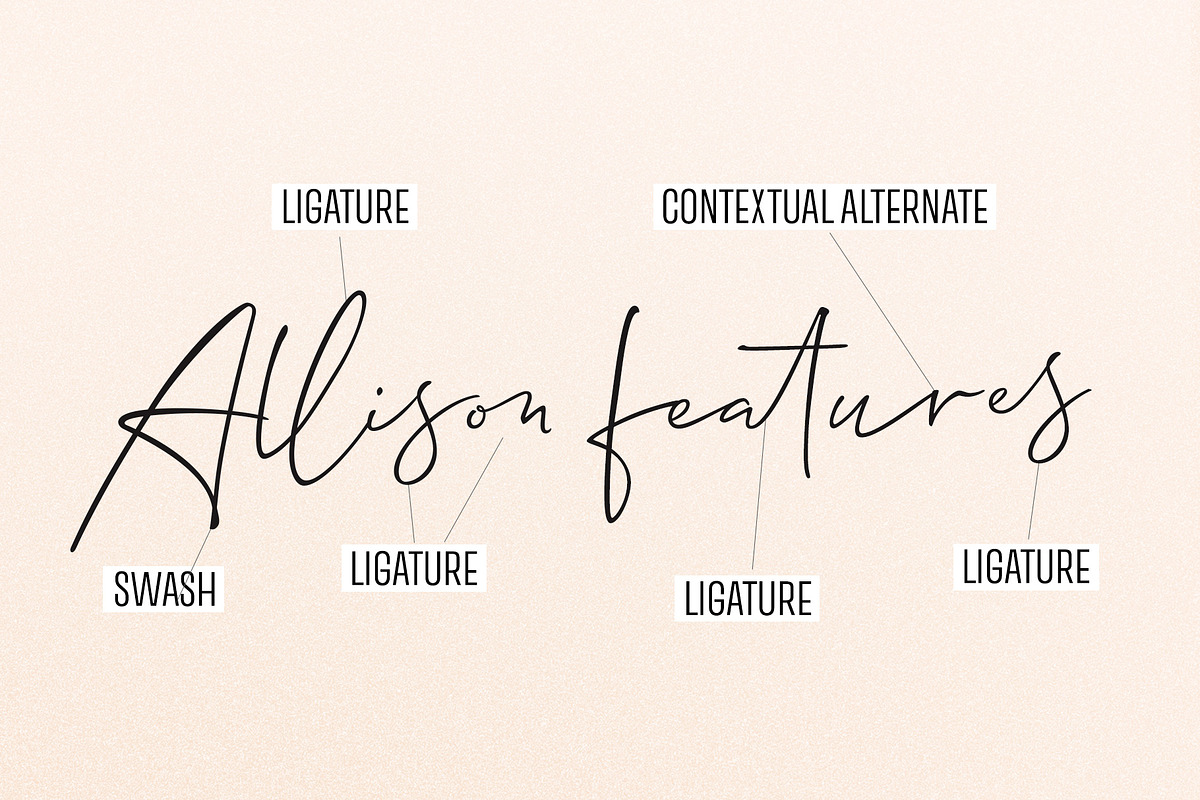 Allison Script, a Script Font by Fenotype