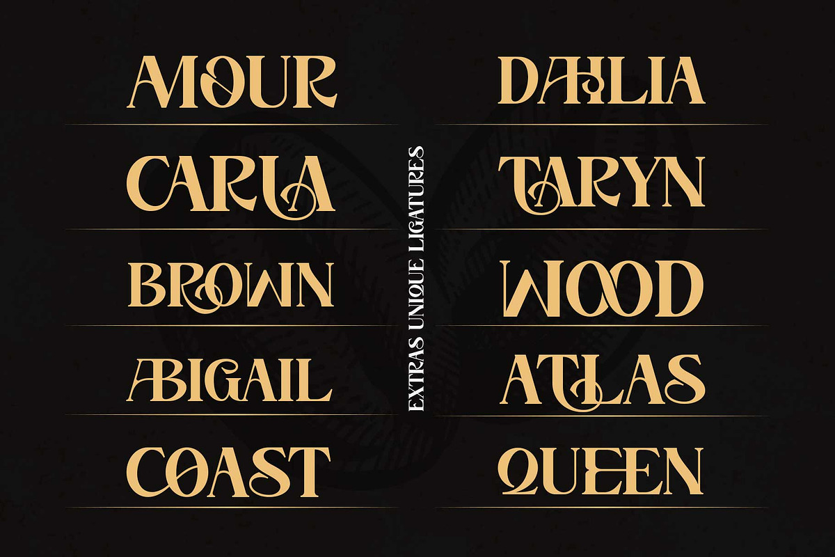 Stand For Honour, a Serif Font by Novitype