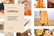 Presets Lightroom Bundle Mobile, a Preset Add-On by VEER