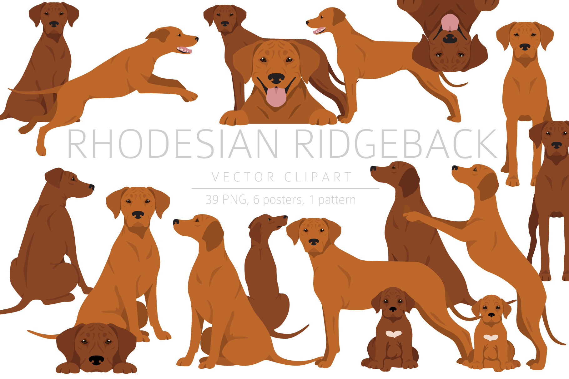 Rhodesian Ridgeback clipart | Creative Market
