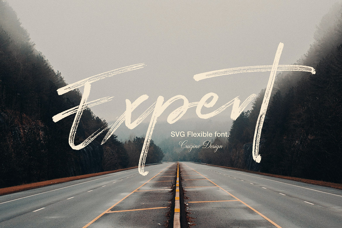 Expert Brush & SVG Font, a Script Font by Cruzine