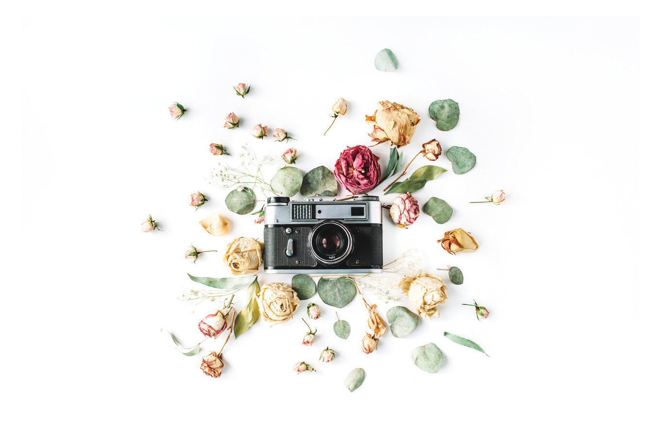 Retro camera, roses and leaves, an Arts & Entertainment Photo by Floral ...