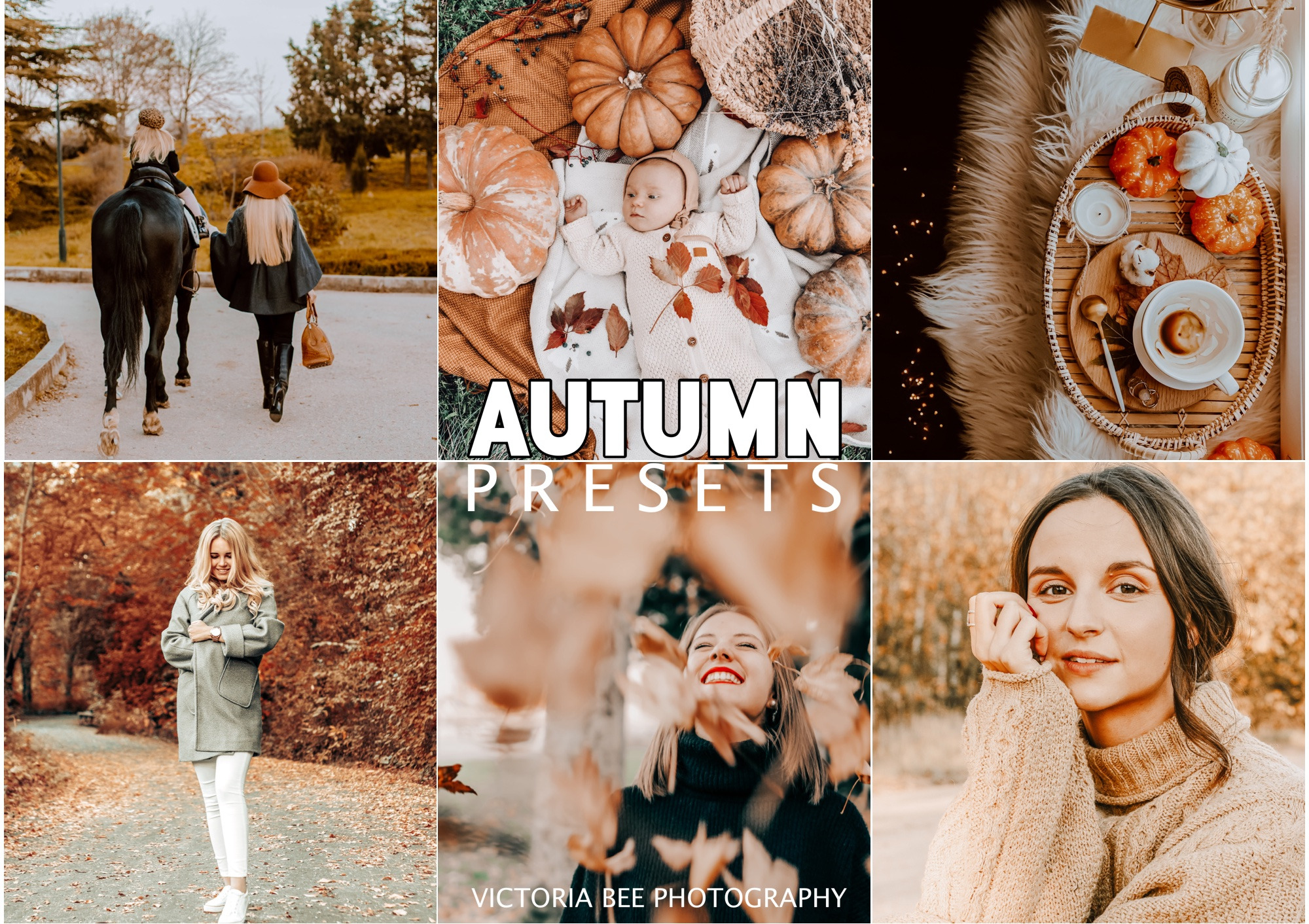 25 AUTUMN LIGHTROOM PRESETS, an Action Add-On by Victoria Bee Presets