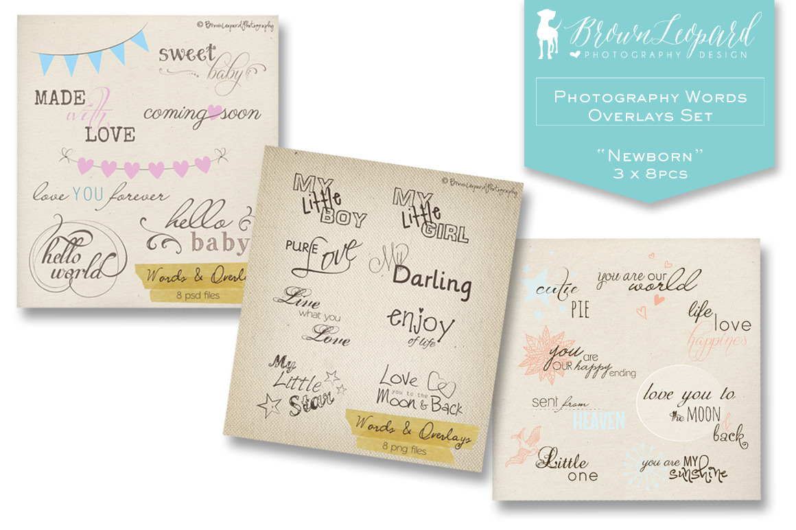 Photography Baby Words Overlays Set, an Illustration by BrownLeopard
