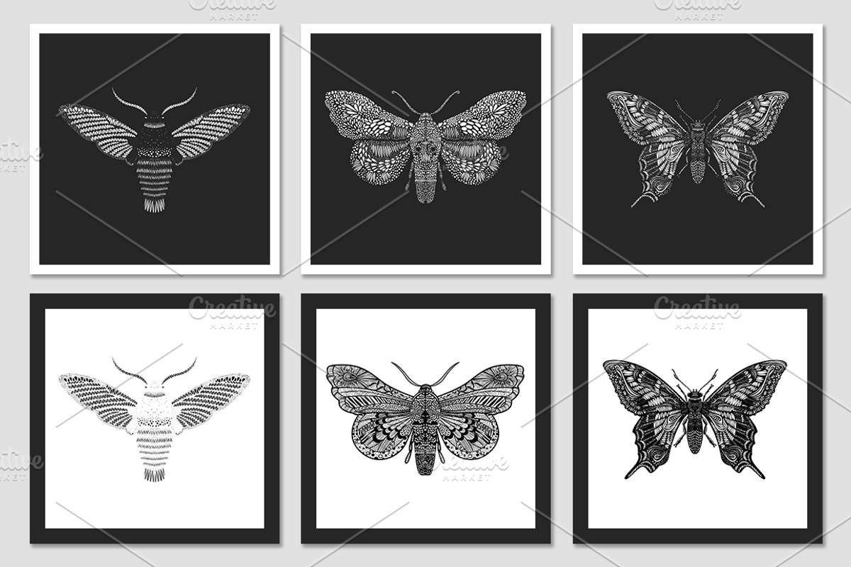 Set of decorative vector Butterflies, a Decorative Illustration by ...