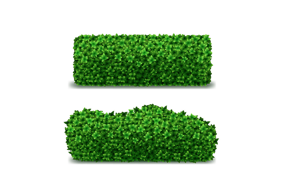 3d Green Hedges Set. Vector | Decorative Illustrations ~ Creative Market