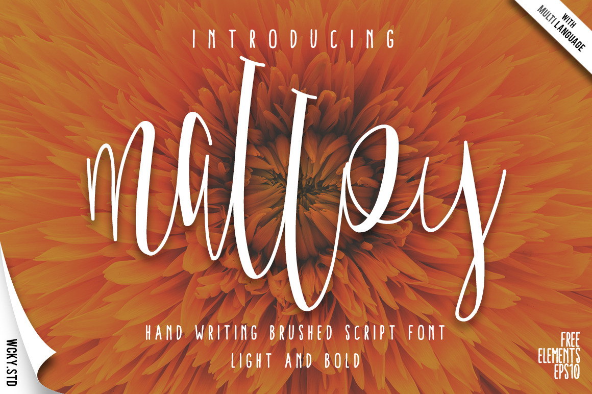 Malloy Font with Elements, a Script Font by WCKY.STD