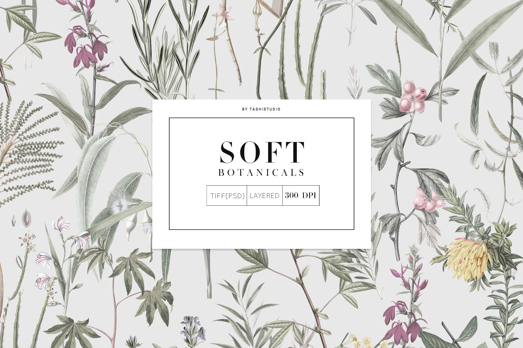 Soft Botanical Pattern Design, a Pattern Graphic by TSTUDIO