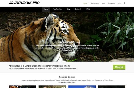 Simple Catch Pro | WordPress Themes ~ Creative Market