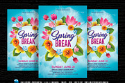 Spring Break Flyer, a Flyer Template by DesignWorkz | Creative Market