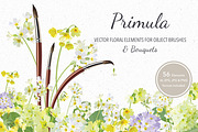 Vector object brushes. Primula. | Brushes ~ Creative Market