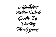 Alpine Script, a Script Font by Borges Lettering