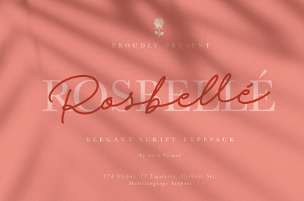 Ambrose Font, a Script Font by Calamar Studio