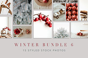 Winter Bundle 6, a Holiday Photo by Floral Deco