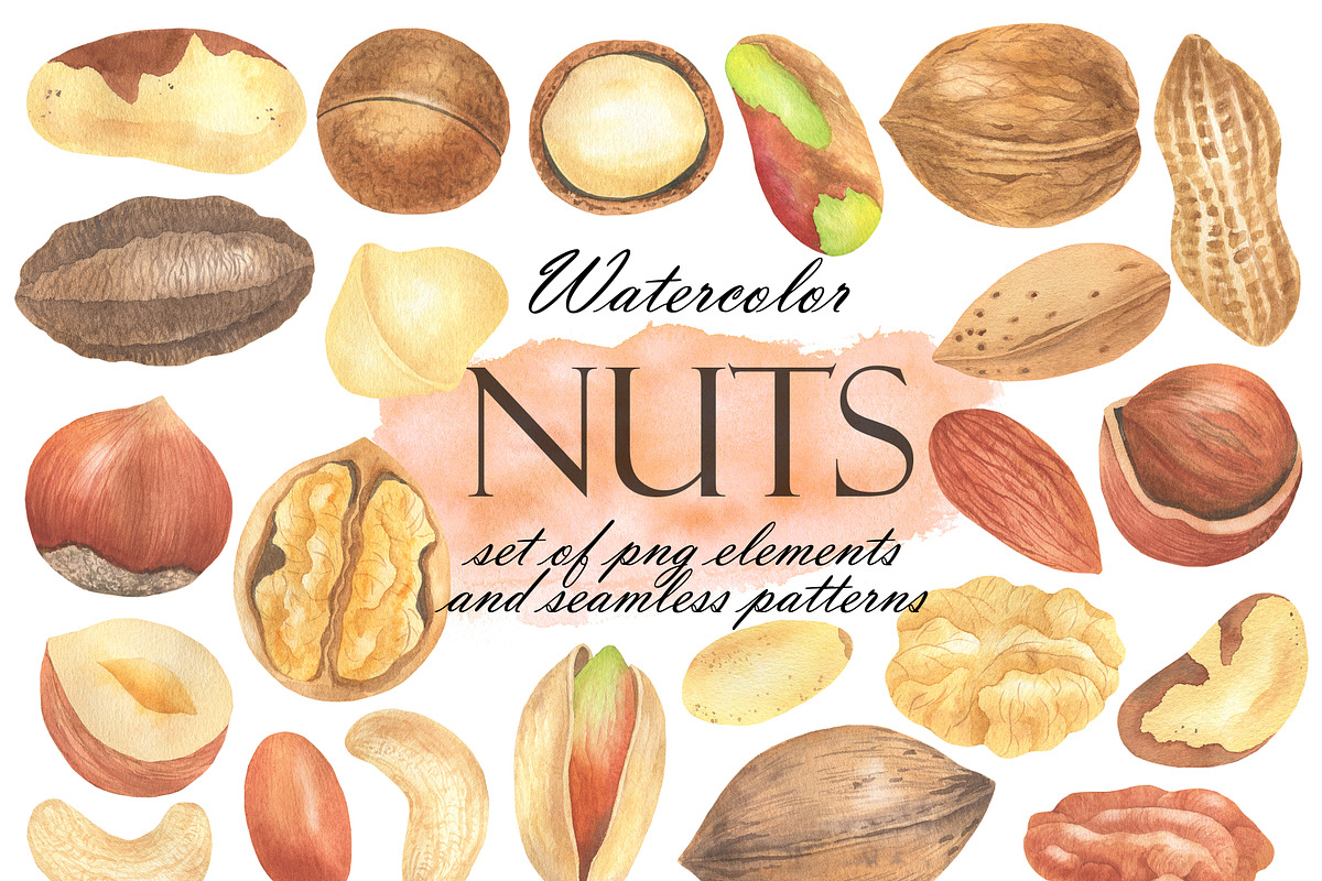 Watercolor Nuts Clipart, a Food Illustration by OlDm_Shop