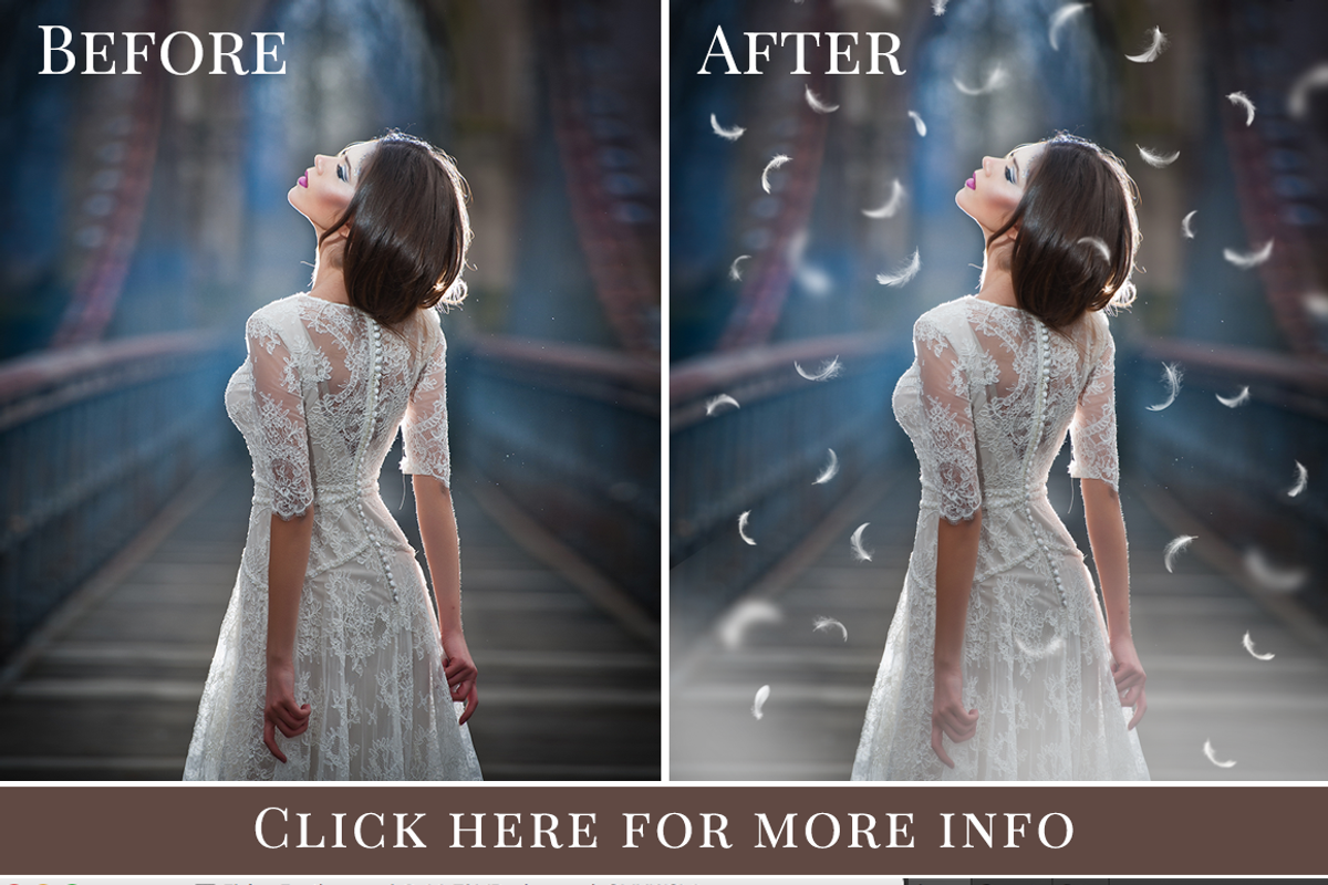 Flying Feathers photo overlays, an Object Graphic by BrownLeopard