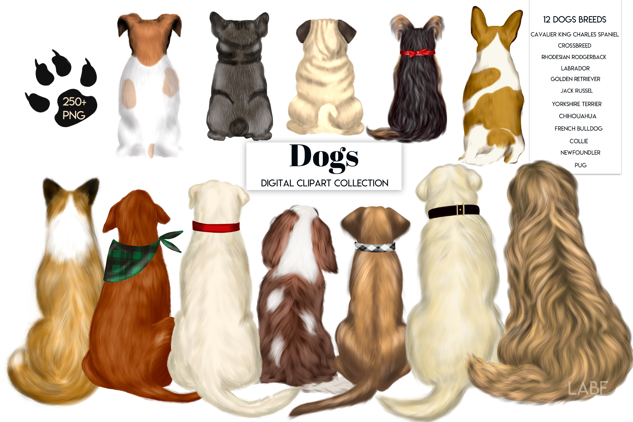 Dogs Breeds. Digital clipart