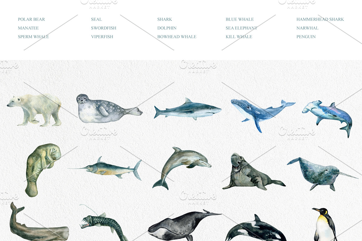 Watercolor sea creatures, an Illustration by Onceli*art | Creative Market