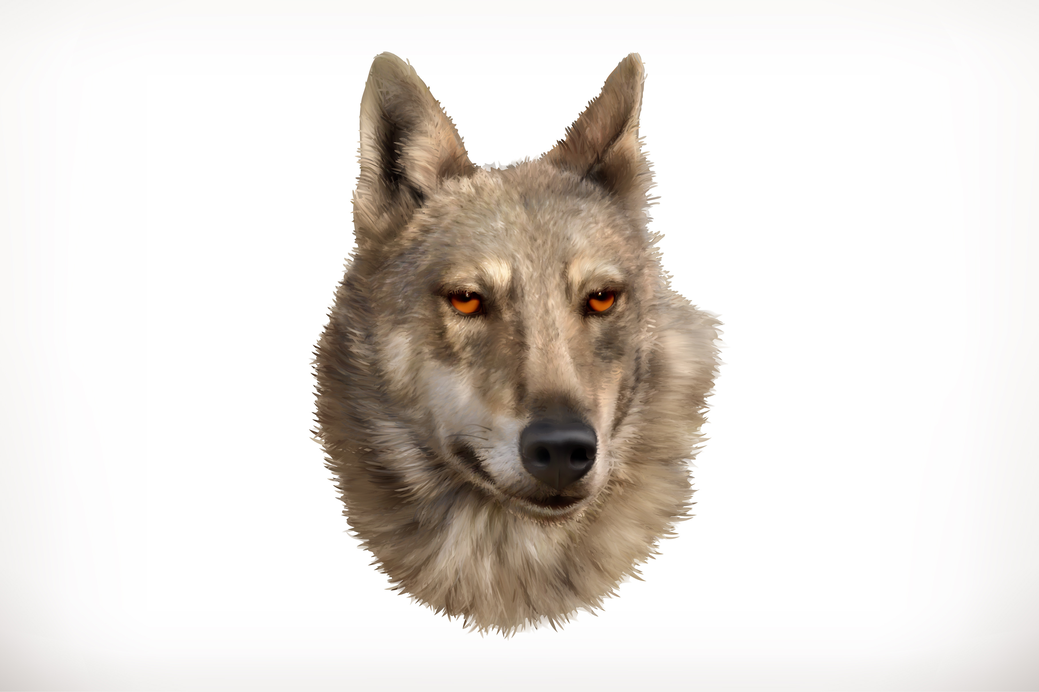 Wolf head, an Icon by Allevinatis Studio
