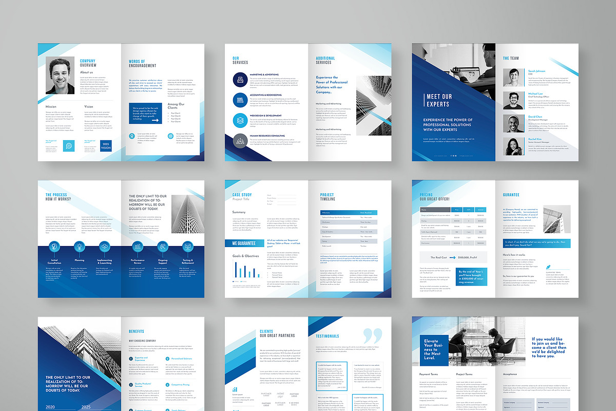 Project Proposal Template, a Brochure Template by BrochuresFactory