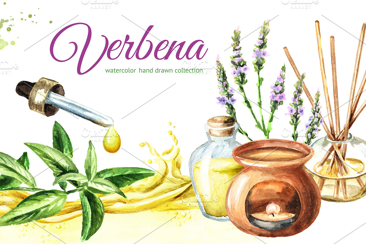 Verbena. Watercolor collection, a Decorative Illustration by Daria ...