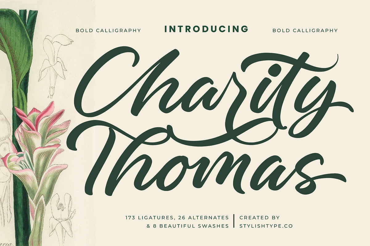 Charity Thomas Bold Calligraphy, a Script Font by stylishtype.co | Creative Market