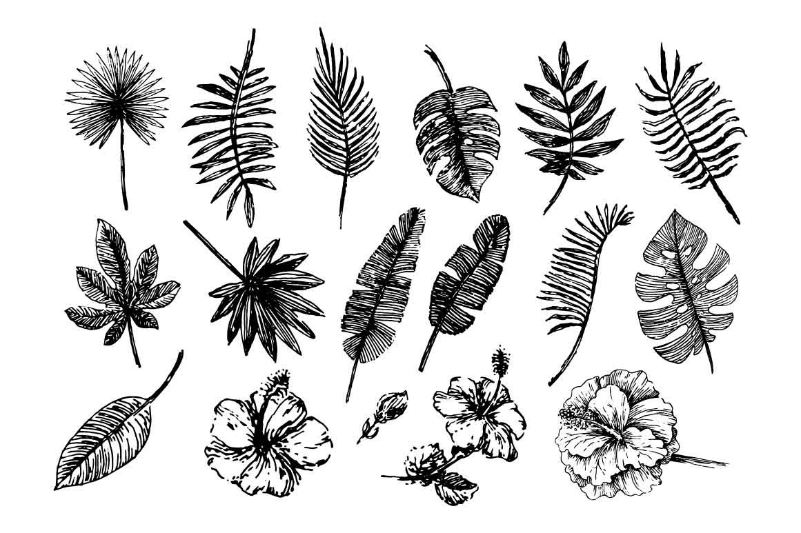 Tropical leaves illustration, a Decorative Illustration by Artha Design ...