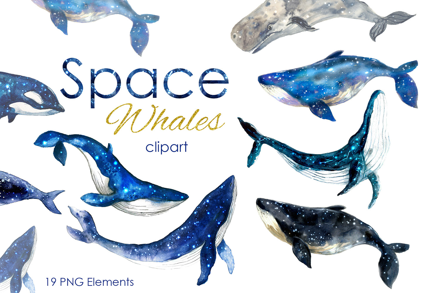 Watercolor Clipart. Watercolor Whale, an Illustration by KomtsyanTatyanaArt