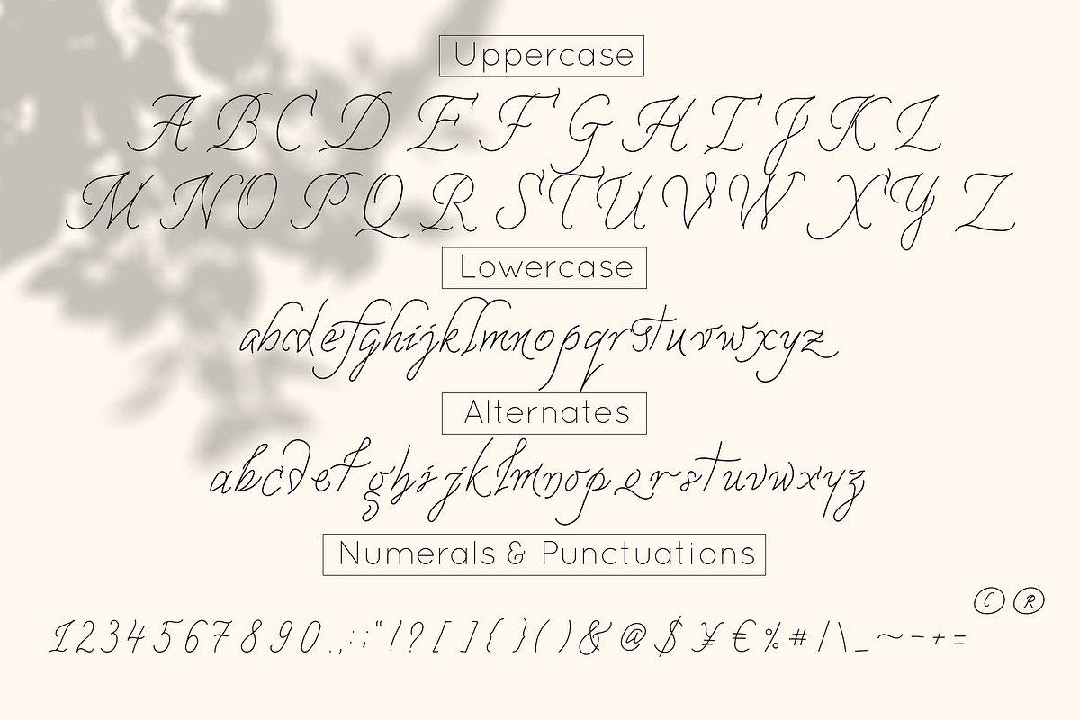 Alpha & Omega signature script font, a Script Font by Anna Zakharchenko