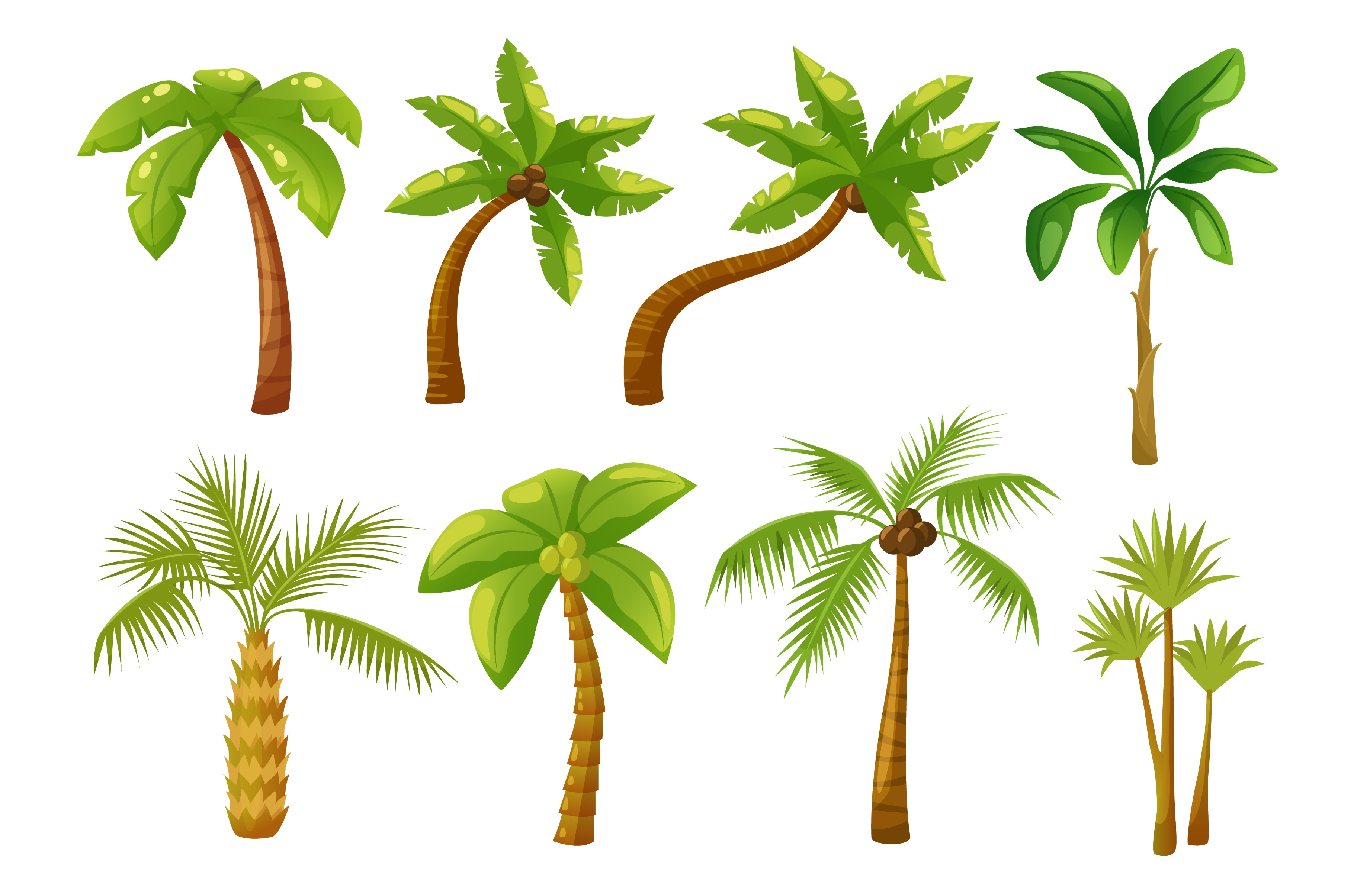 Cartoon tropical palm trees with, an Object Illustration by Frogella