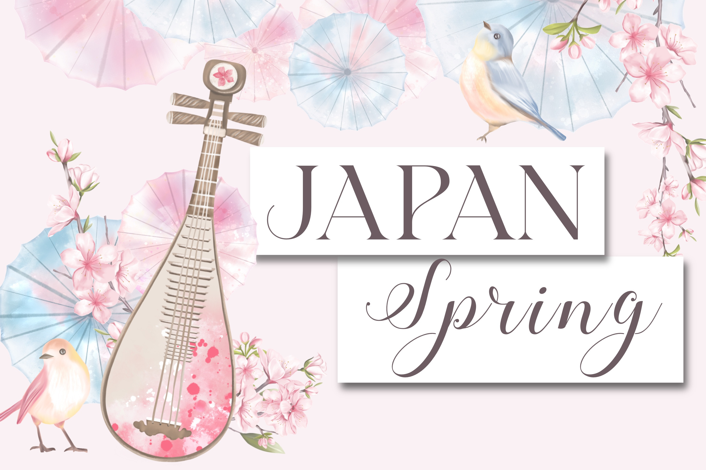 Japan Spring Sakura Cherry Blossom | Creative Market